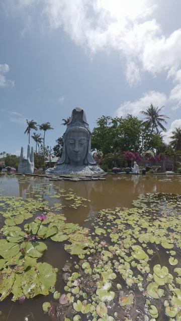 compose_video_1773195385064