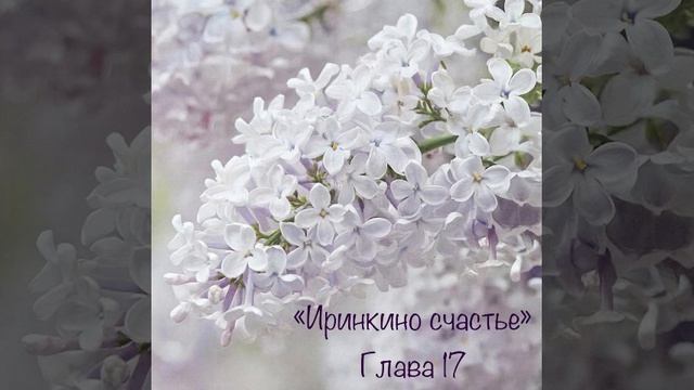 Аудиокнига «Иринкино счастье» глава 17