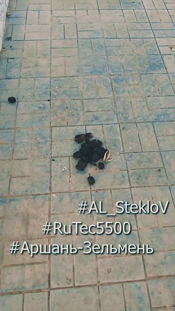 RuTec 5500. День 4. Аршань-Зельмень