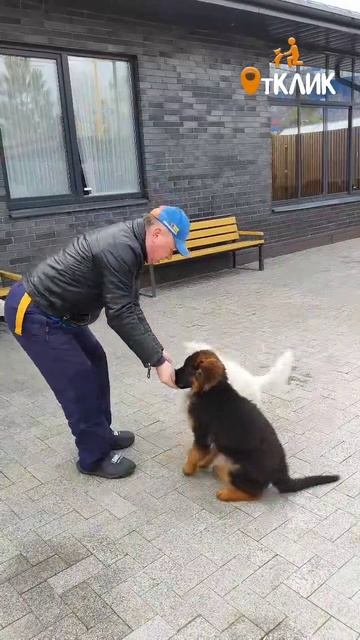 Команда на двоих ✌️😉