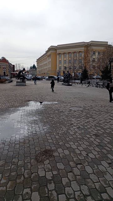 идёт голубь