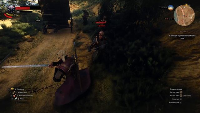 The Witcher 3 Серия 31