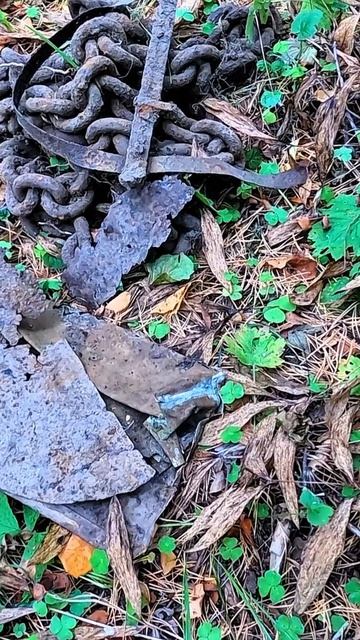 Самый гвоздь копа!