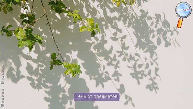 Распространение света в однородной среде