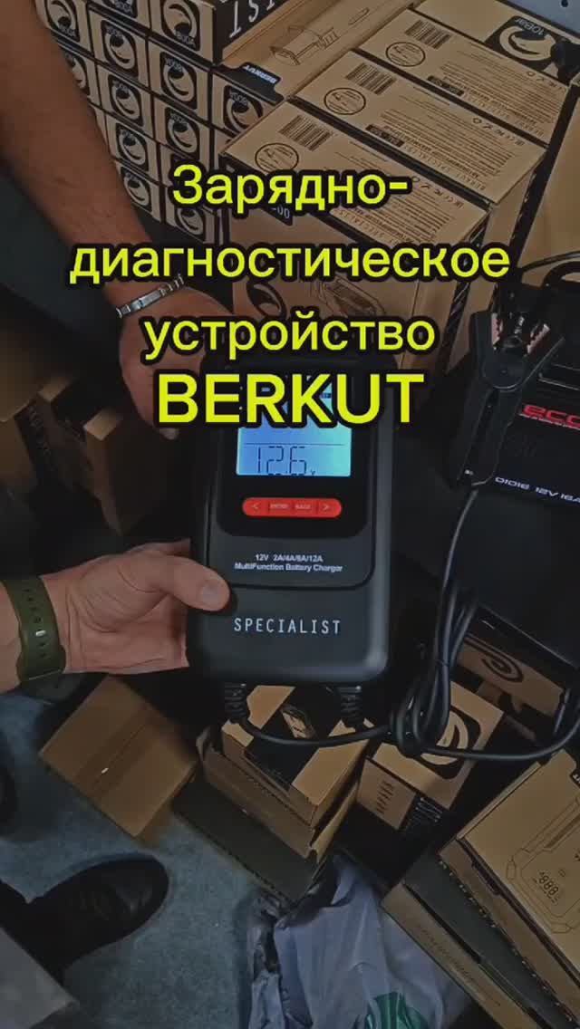 Зарядка для аккумуляторов Berkut. С диагностикой