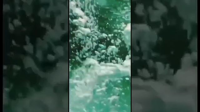 Сотворённое тобой.  Песня на стихи Раисы Йилдырим и Олега Никула