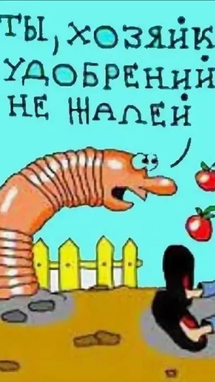 Дачники - чудаки