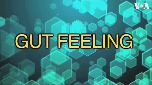 gut feeling (2)