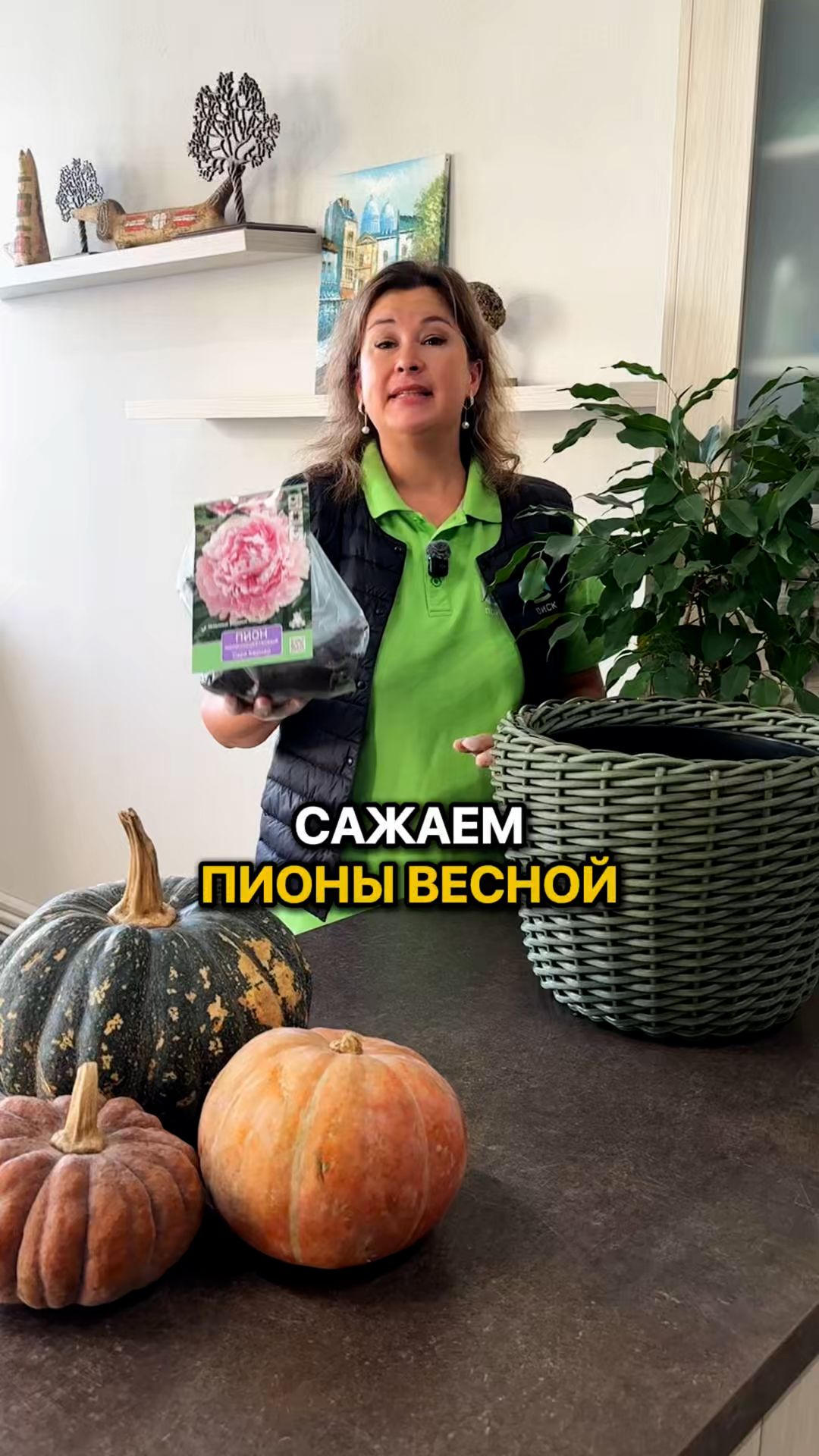 Как сажать пионы весной?