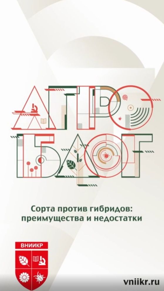 Сорта против гибридов: преимущества и недостатки