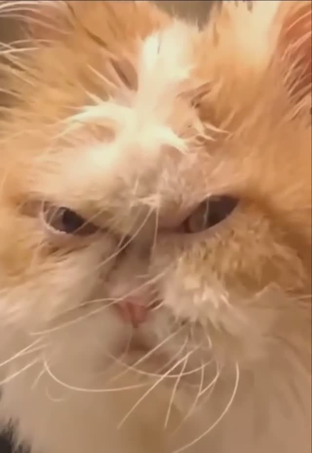 Помощничек