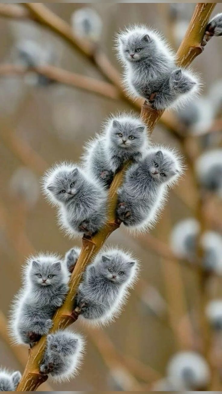 Здрасьте пожалуйста😁