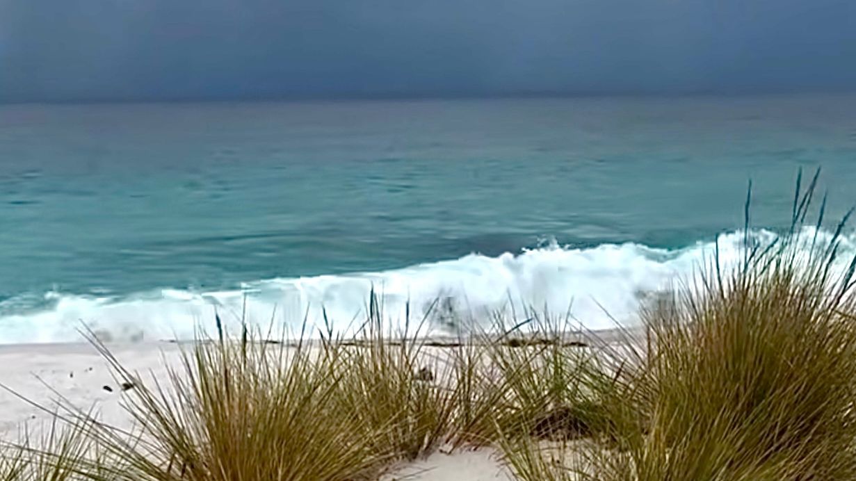 BULB - Lonely Gravity