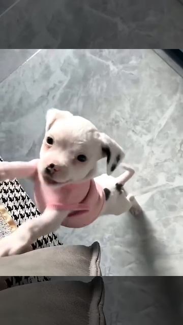 история одного спасения