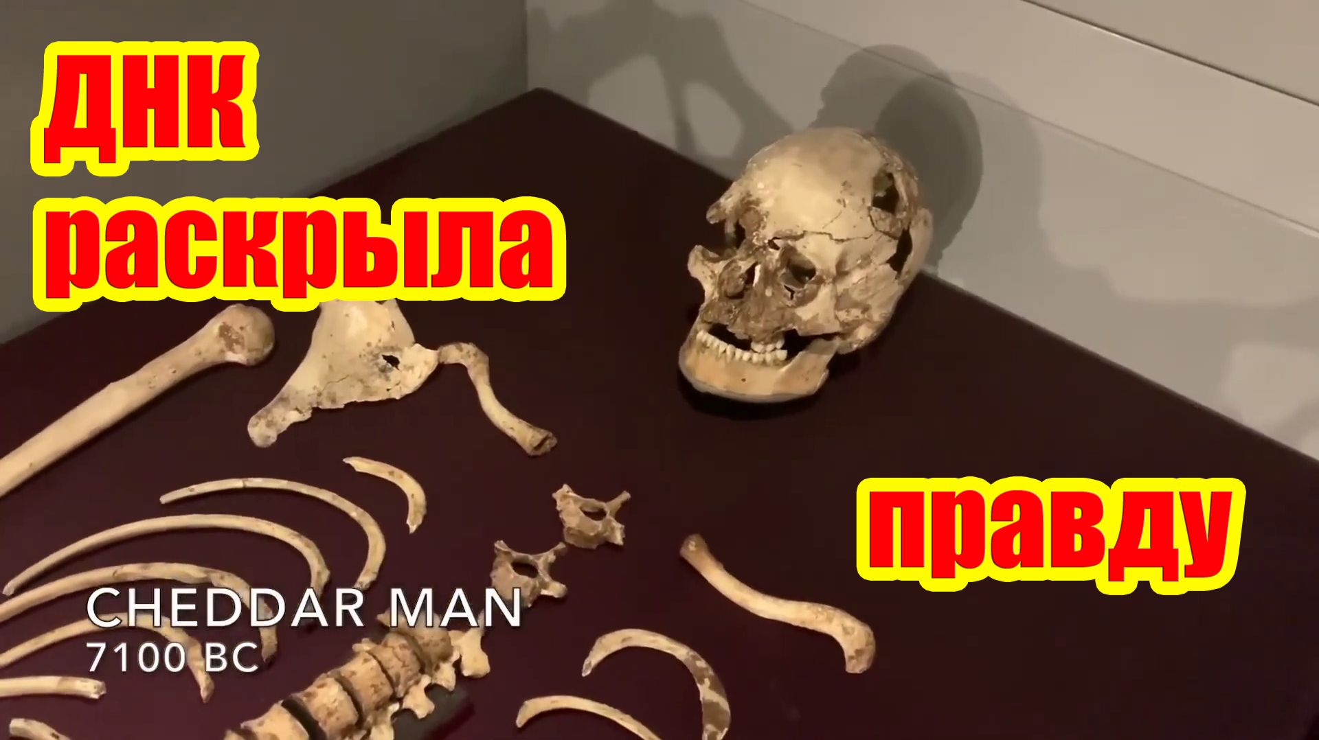 Генетические исследования показали, что предки британцев были темнокожими, но история была утрачена