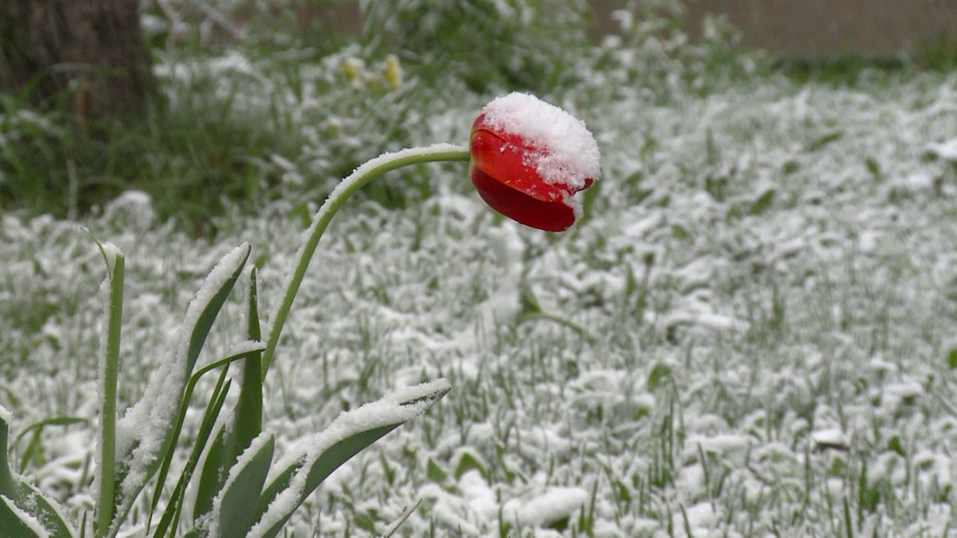 Как меняется климат в Западной Сибири: погодные аномалии 2025-го и прогноз паводков