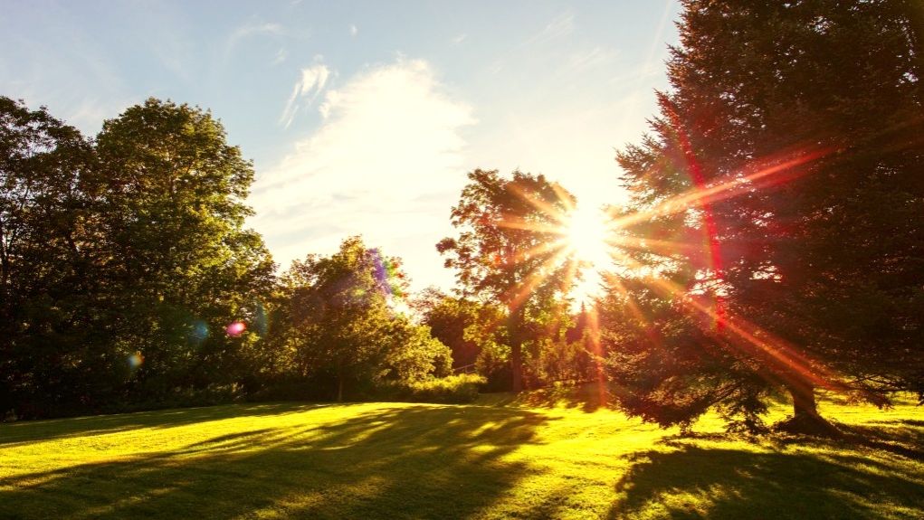 ИЗМЕНЕНИЕ «СРЕДЫ ОБИТАНИЯ» Реакция физических тел чистых человеческих душ на идущие на новые энергии