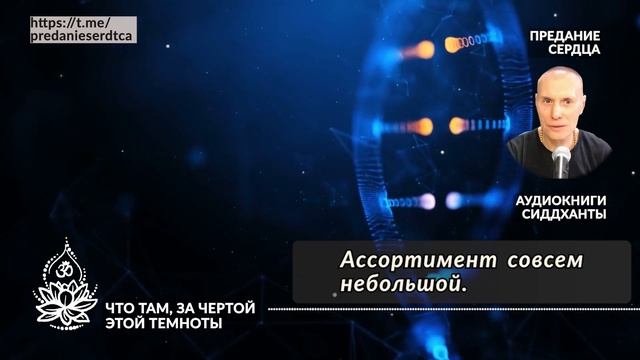 Что там, за чертой этой темноты. Аудиокниги Сиддханты (Вячеслава Чернина)