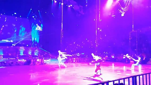 Райские птицы