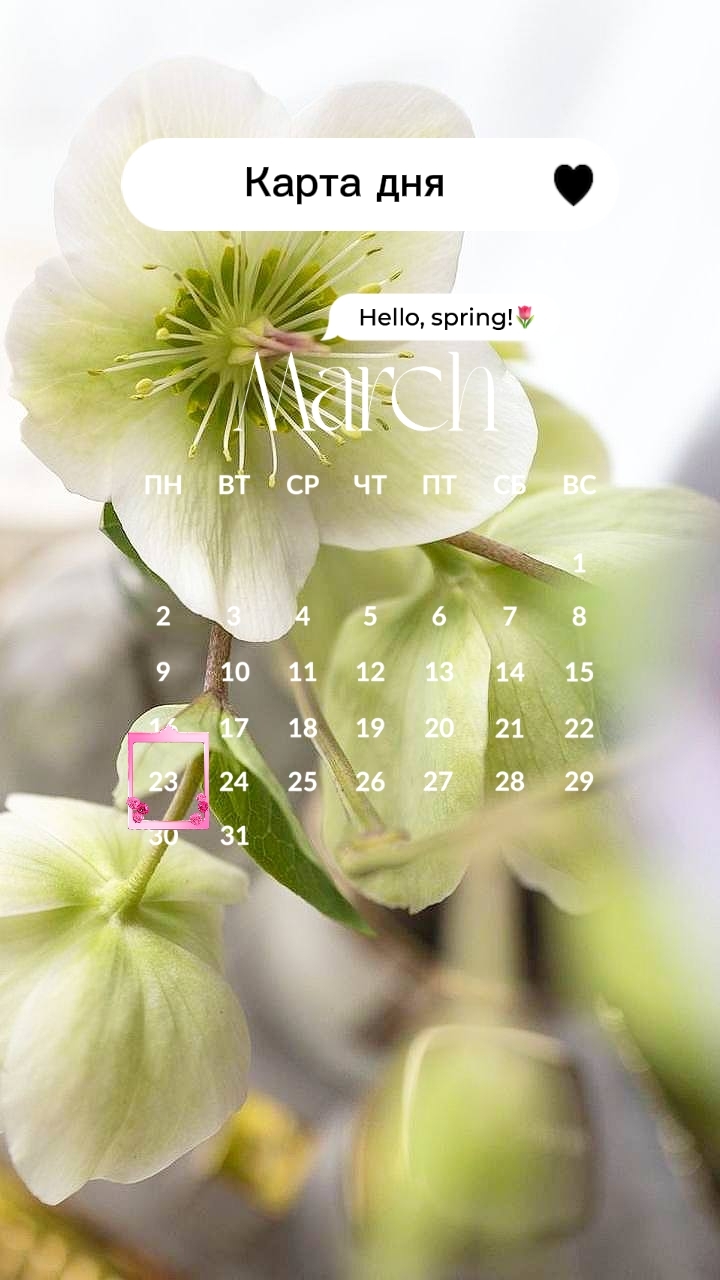 Отшельник🕯Карта дня на 23-03-2026. Понедельник