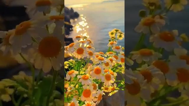 Я в бликах солнца утопаю.  Песня на стихи Любовь Уколовой и Раисы Йилдырим