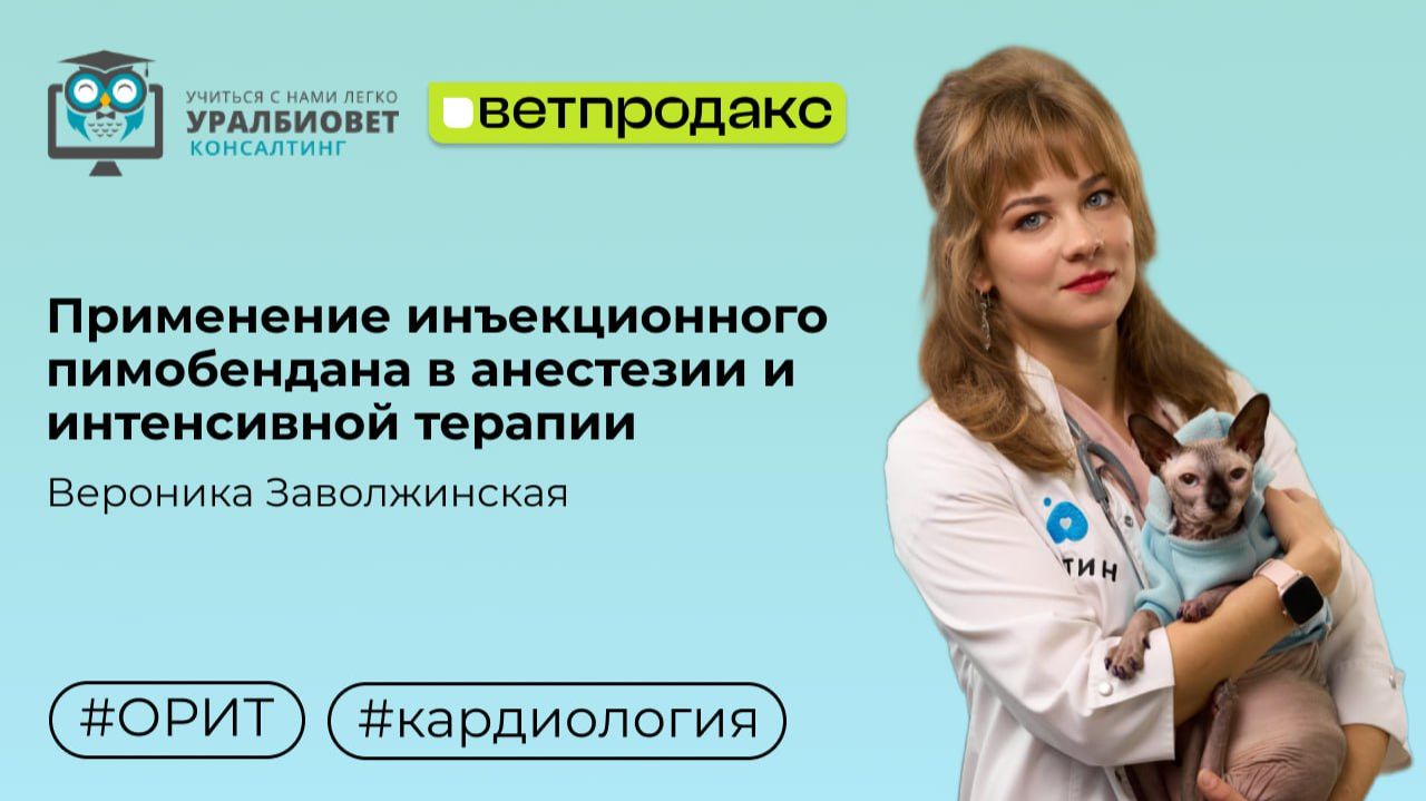 Применение инъекционного пимобендана в анестезии и интенсивной терапии. Лектор Вероника Заволжинская