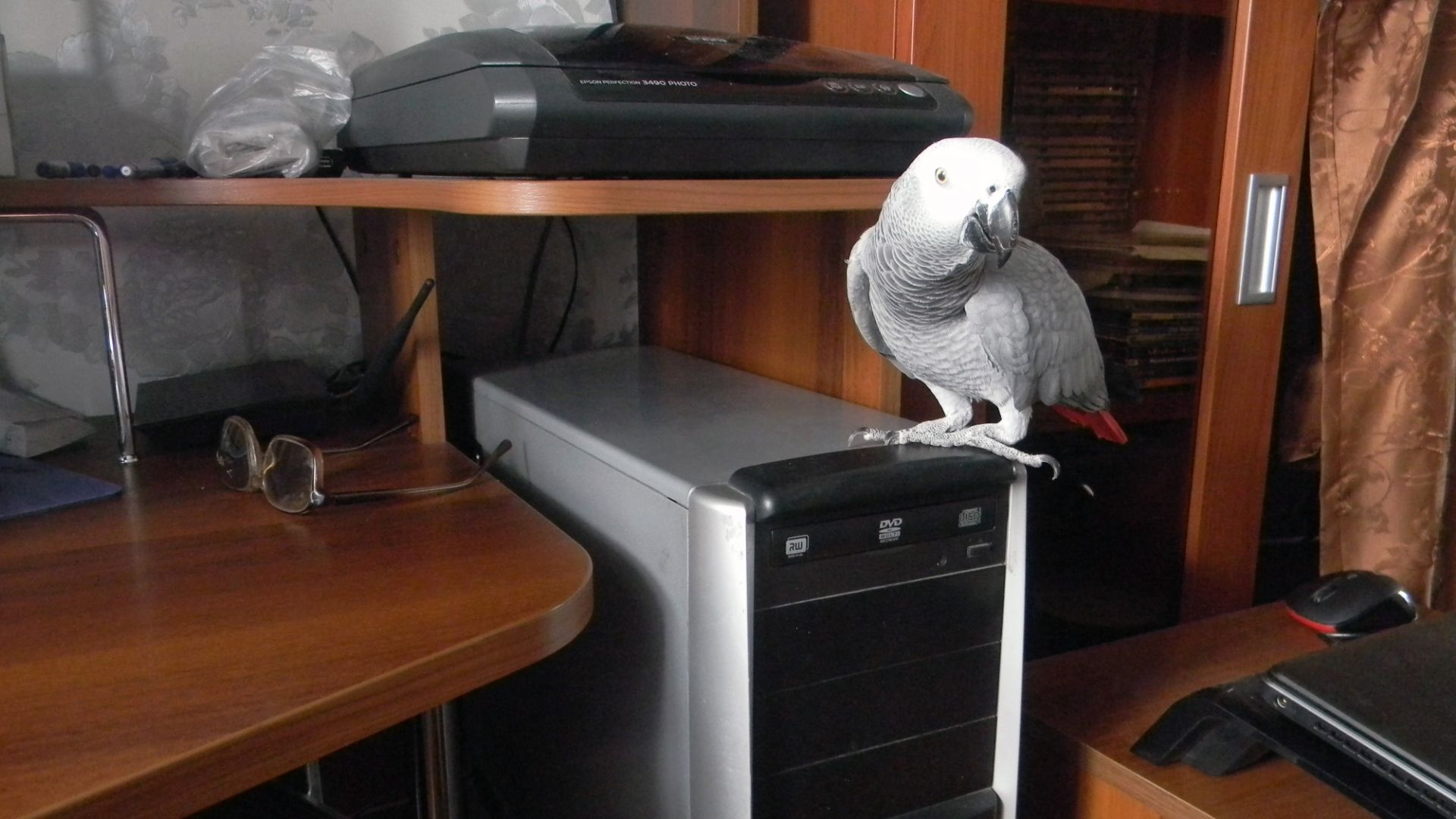 ПРИВЕТ! Я “КОКО”. (2014г.)