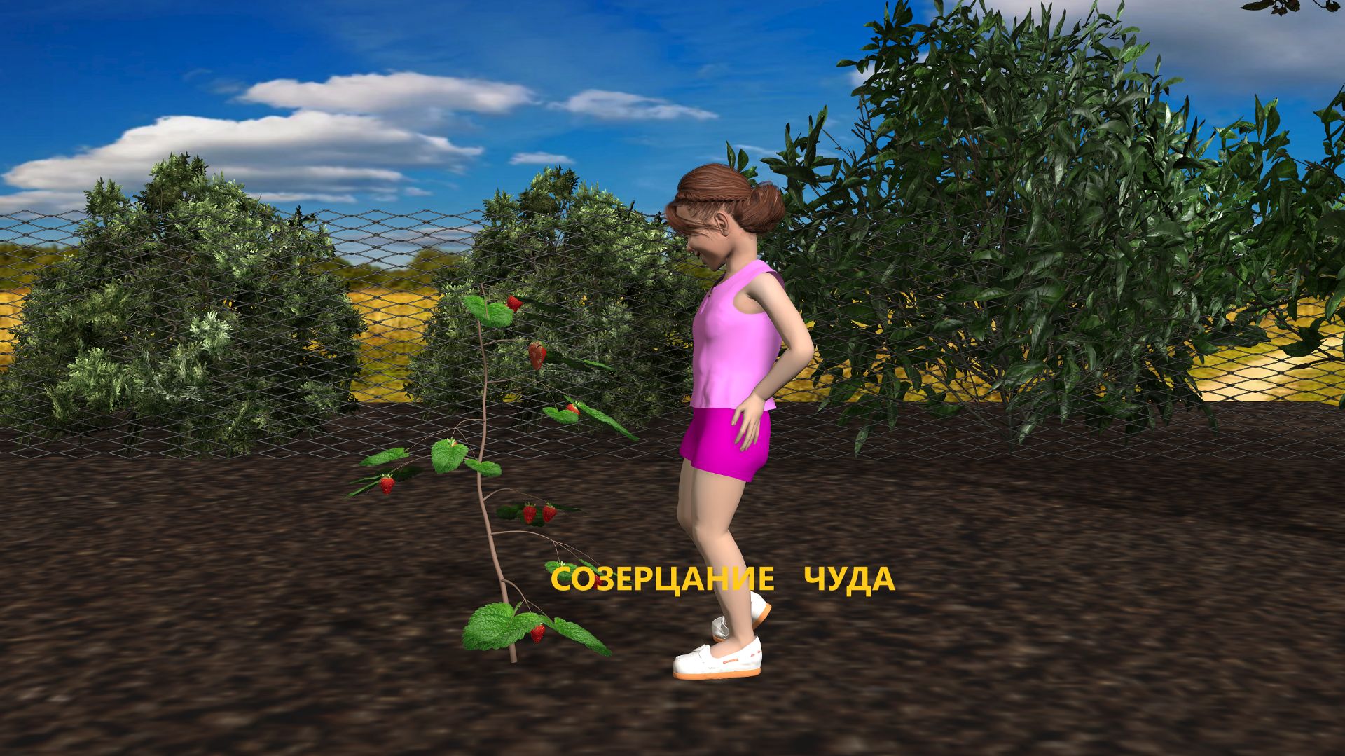 Созерцая  чудо