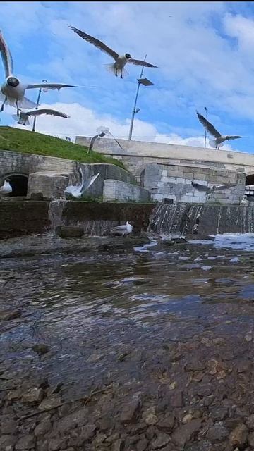 Танцы в воздухе