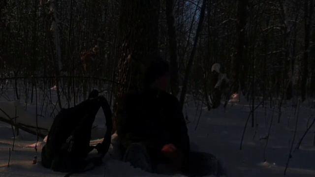 в лесу ЧАСТЬ 42