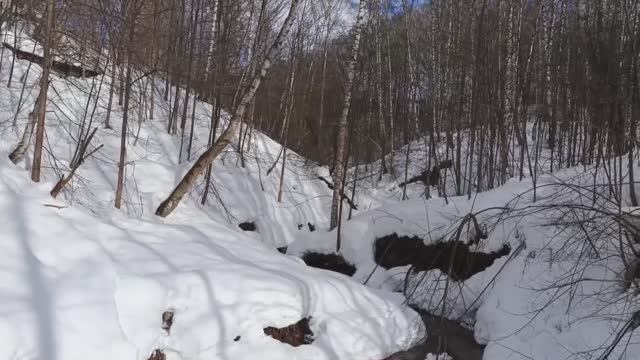 Журчит ручей