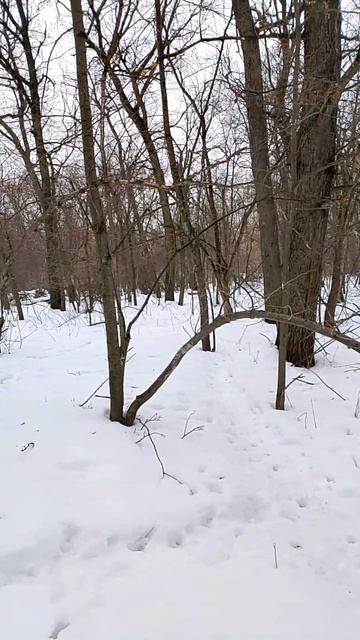 надеюсь зима скоро закончится