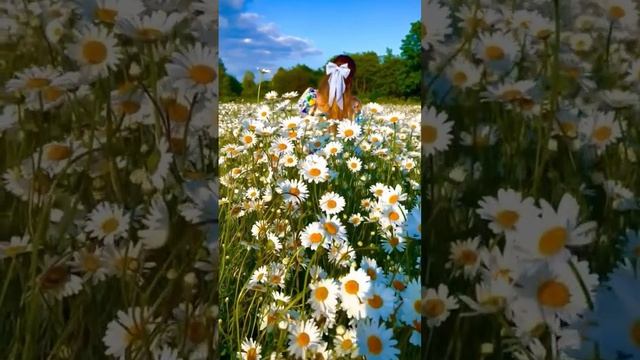 Хочу послушать тишину.  Песня на стихи Раисы Йилдырим