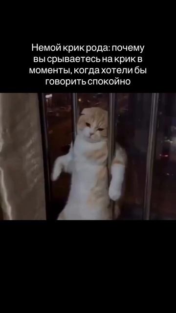 Немой крик рода: почему вы срываетесь на крик в моменты, когда хотели бы говорить спокойно