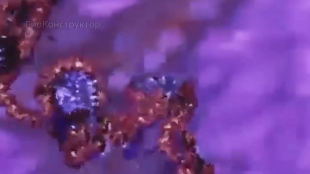 Жизнь. Создание идеального вируса