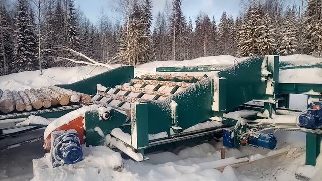 Раскатный транспортер линии сортировки бревен