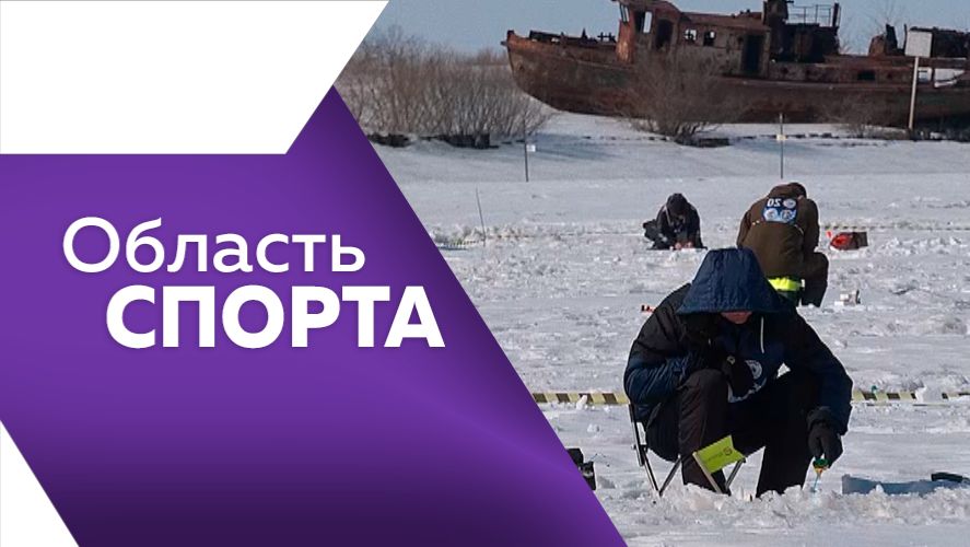 Область спорта № 354