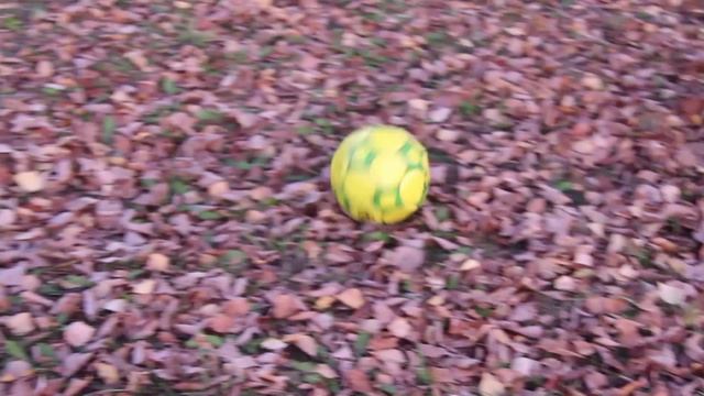 1773554268982 Жизнь важнее