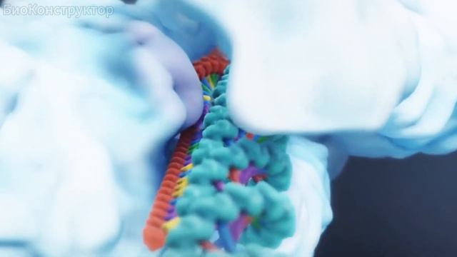 Исходный код человека и технология CRISPR