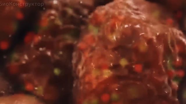 ДНК. Программная инструкция к человеку