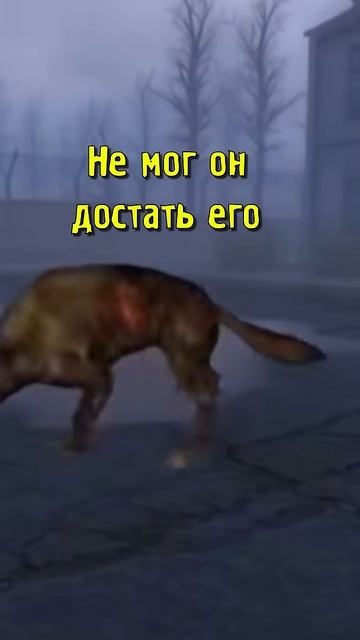 Самая странная охота в Зоне...