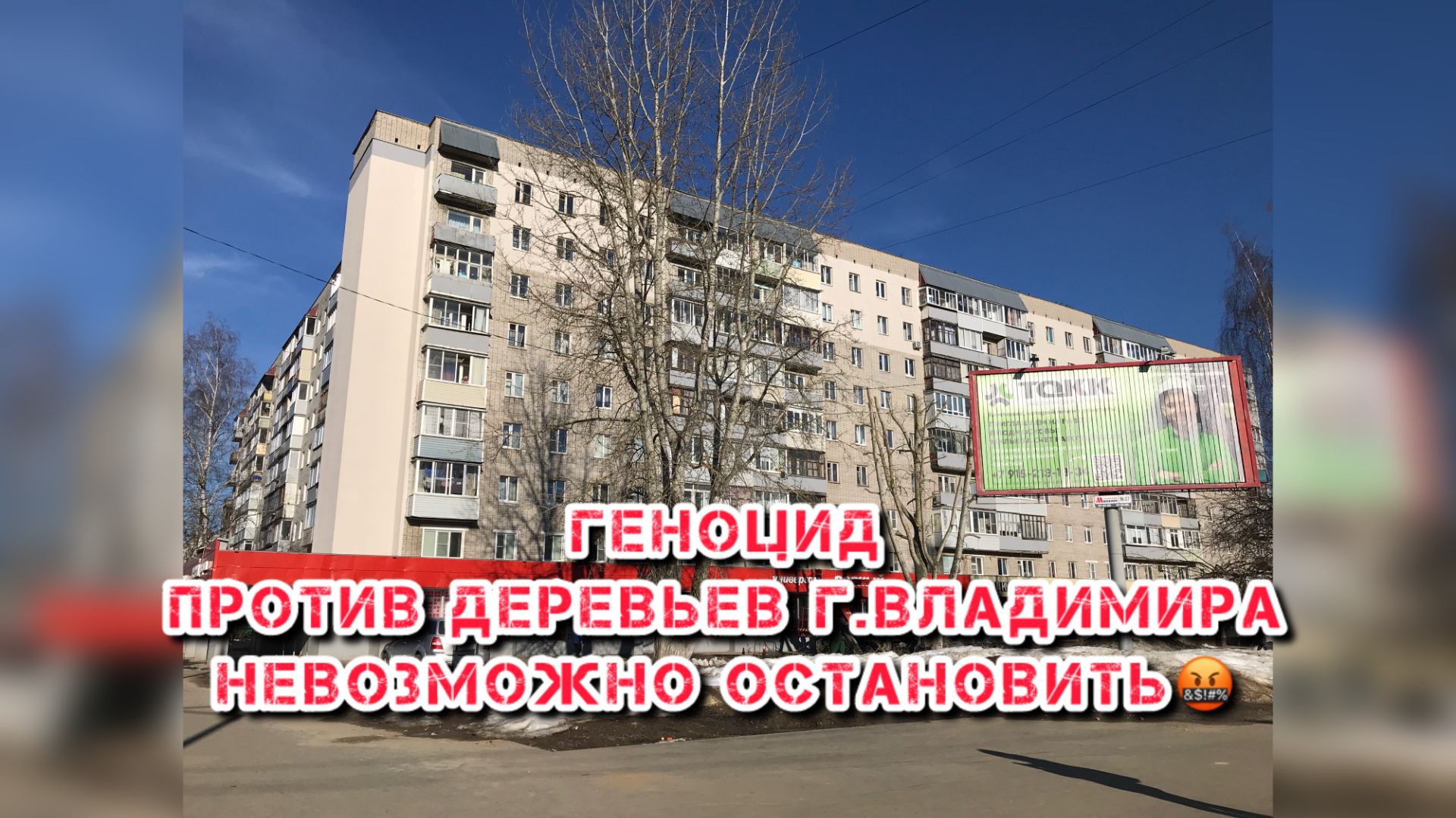 Геноцид против деревьев г.Владимира невозможно остановить / 23.03.2026