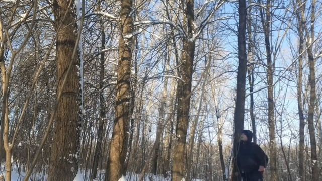 в лесу ЧАСТЬ 46