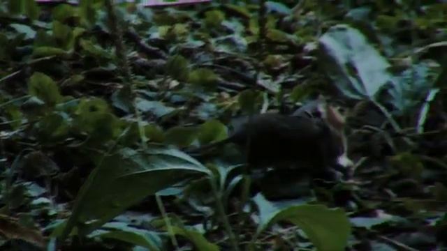 АЙСБЕРГ ЛЕГЕНД РОССИИ перезалив с ютуба