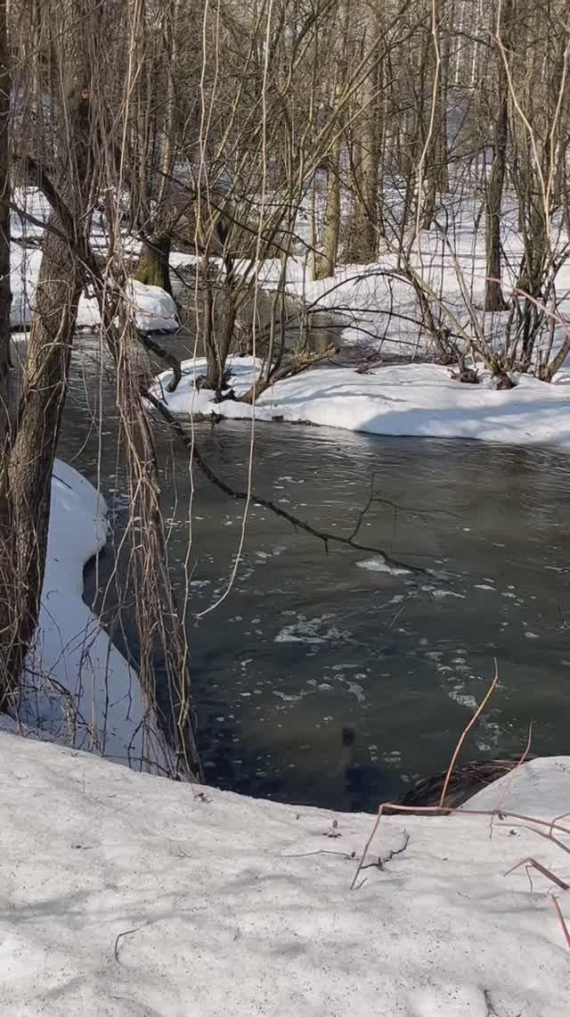 Наступление весны