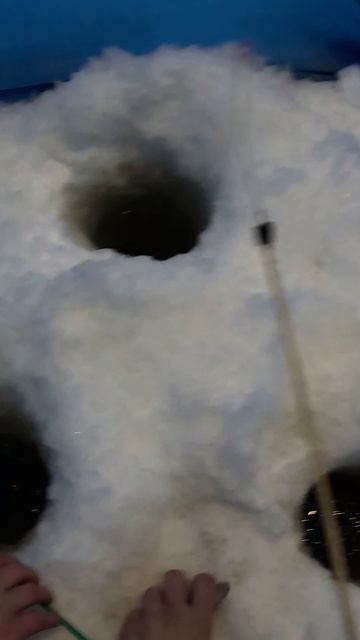 Рыбалка на белом море! Чуть удочку не бр бр потопил! Ловля наваги тяжелыми мормышками!