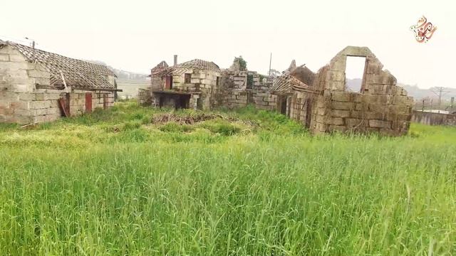 Хадисы о достоинстве Благородного Корана  | Каждый может стать Коран-хафизом