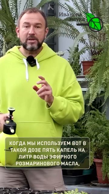 Рассада ПРЁТ ВВЕРХ? Остановите и заставьте рассаду ТОЛСТЕТЬ!