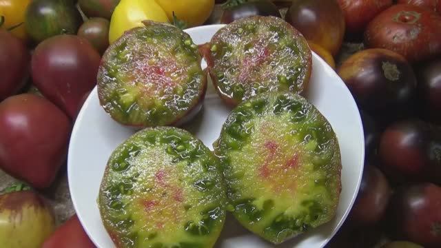 ПОСЕВЫ 2026-101. Томат Блаженство (Софии Сааковой) в прошлом году покорил меня!