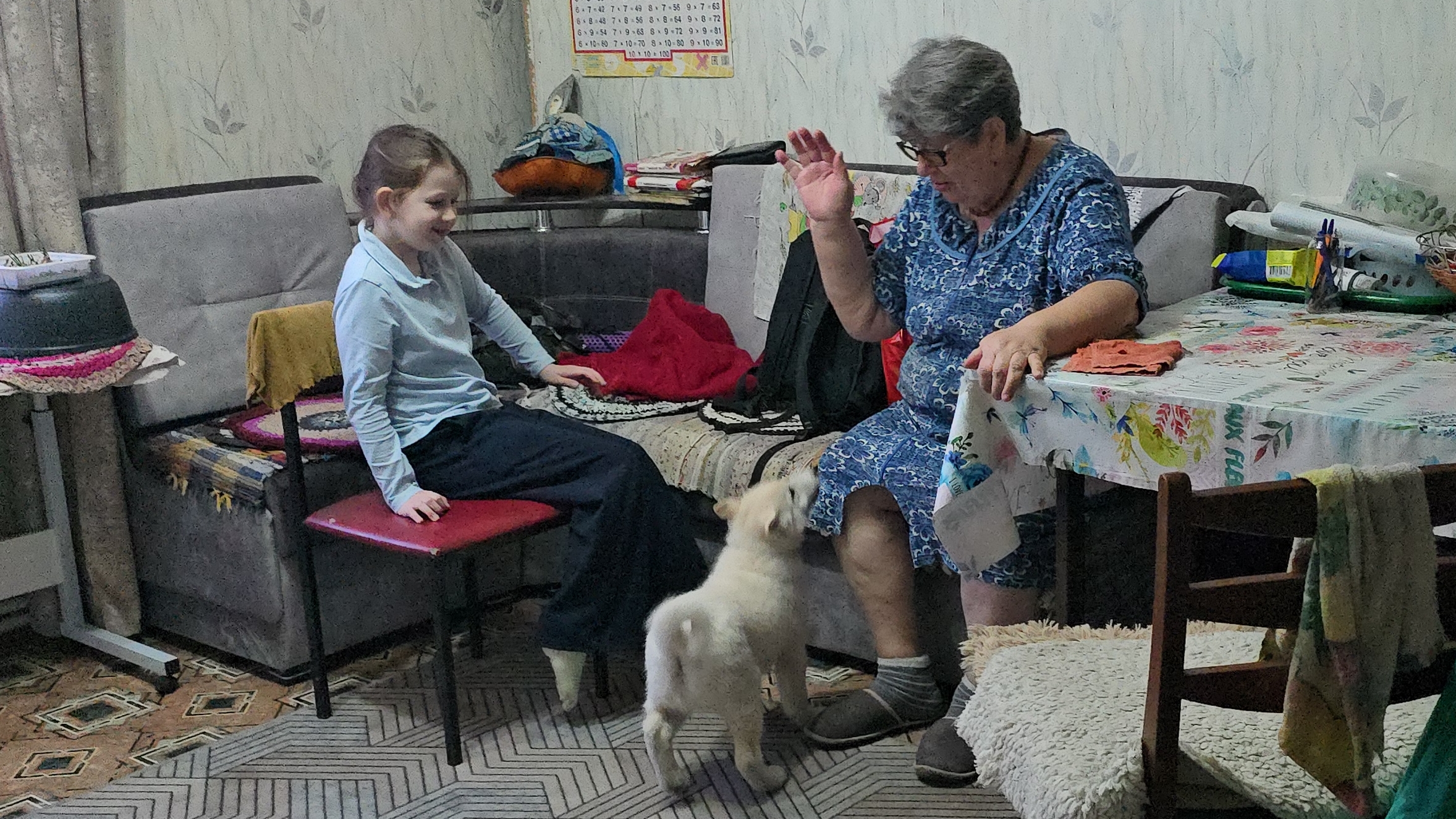 Забар в гостях